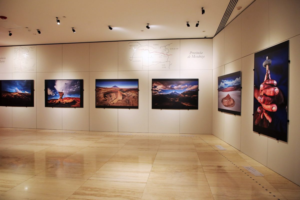 Museo Internacional del Barroco inaugura exposición temporal “Latidos ...